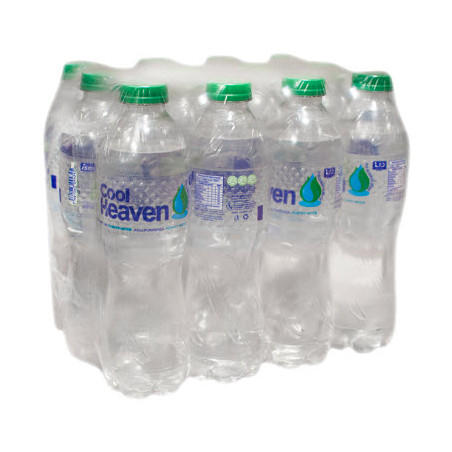 AGUA NATURAL 12 X 500ML